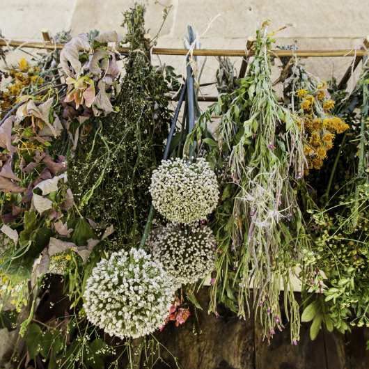 Herbal Remedies: Using Spagyrics to Go Deeper with Plants – Goddess ...